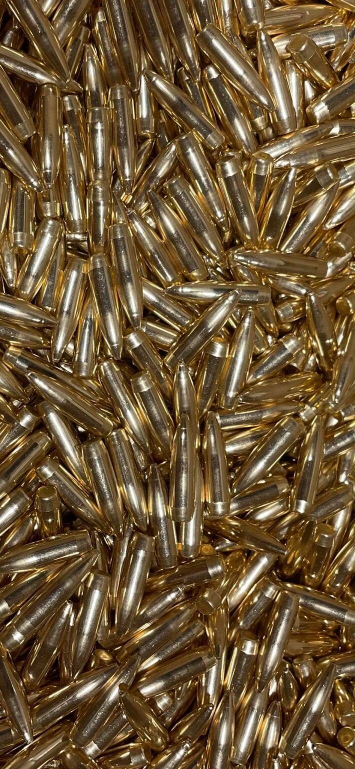 .224 RMR 69 Gr. BTHP 3GH *NEW* (Read Description Before Ordering) | RMR ...