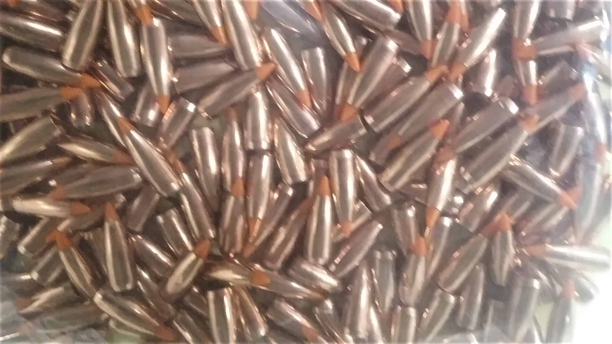 .224 40 Gr. Nosler Ballistic Tip Varmint Bullets *NEW* | RMR Bullets